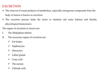 Excretory System.pptx