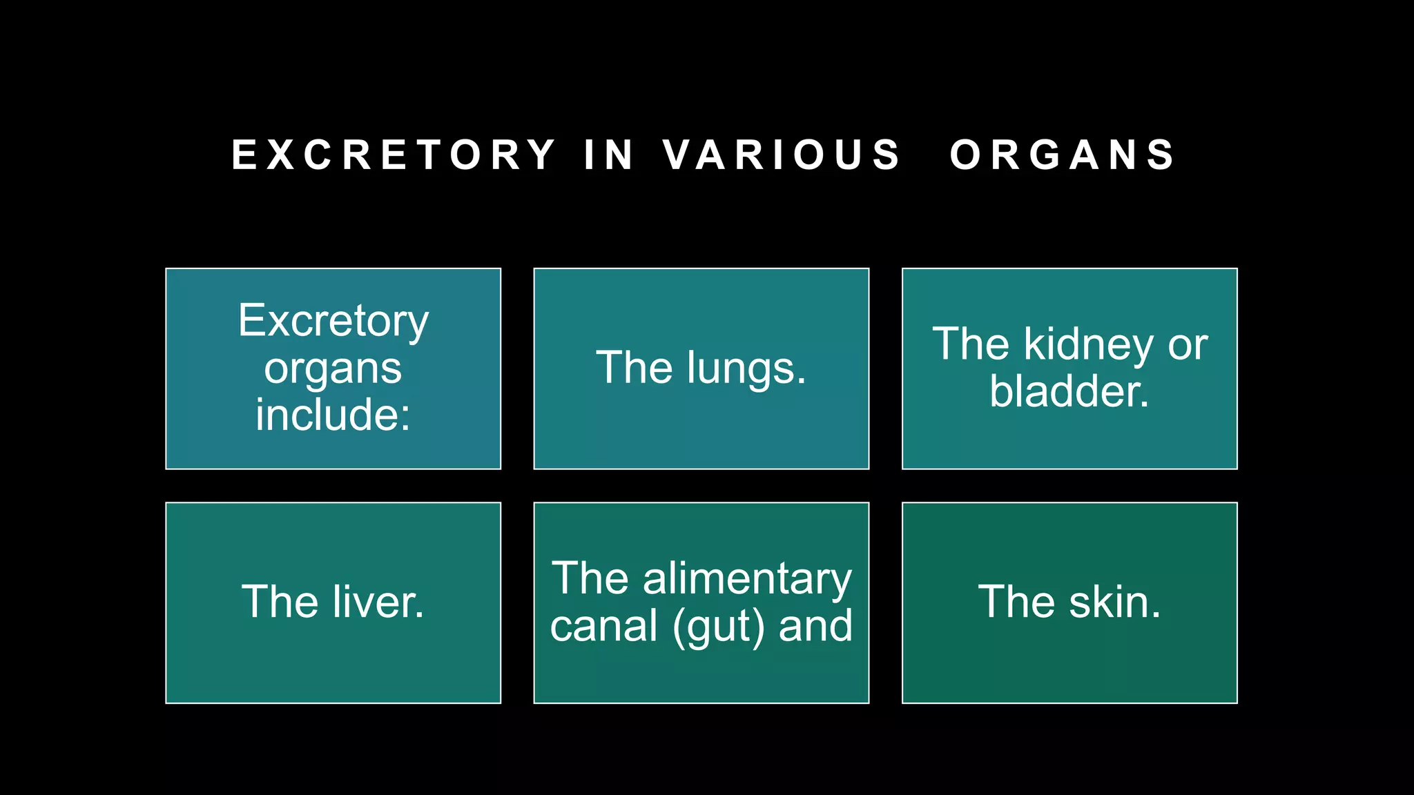 Excretory SYSTEM.pptx