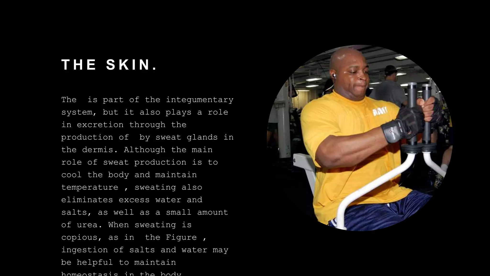 Excretory SYSTEM.pptx