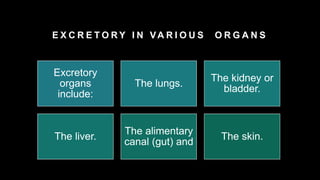 Excretory SYSTEM.pptx