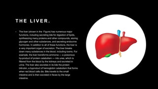 Excretory SYSTEM.pptx