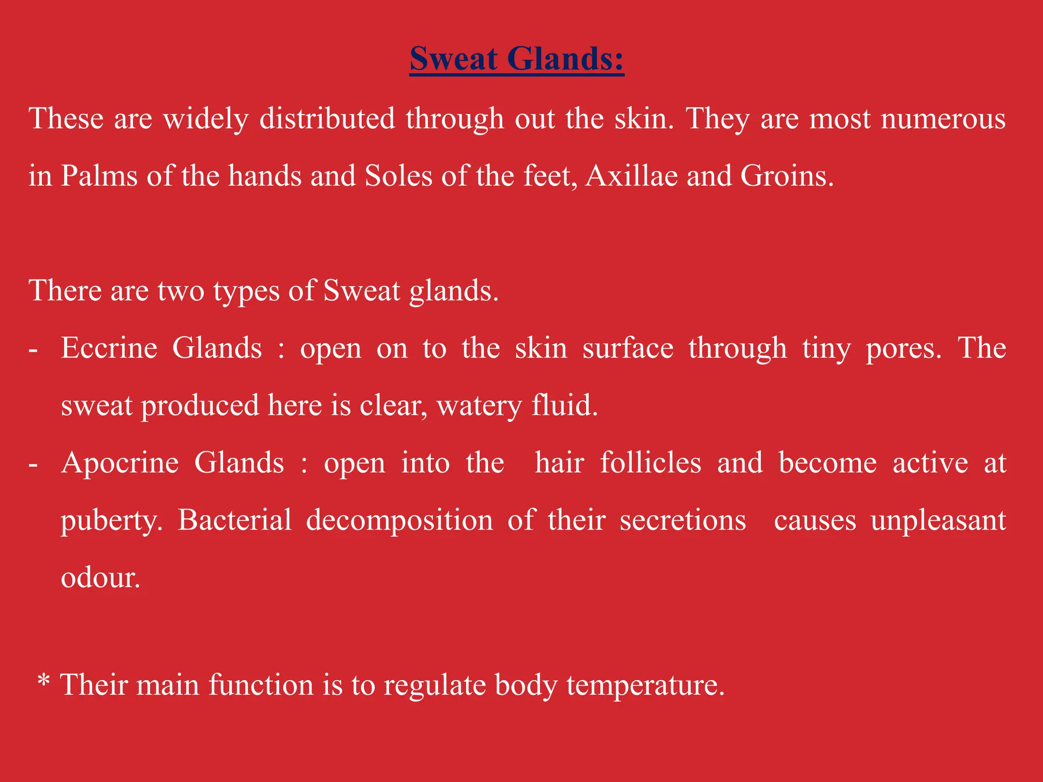 Excretory System.pptx