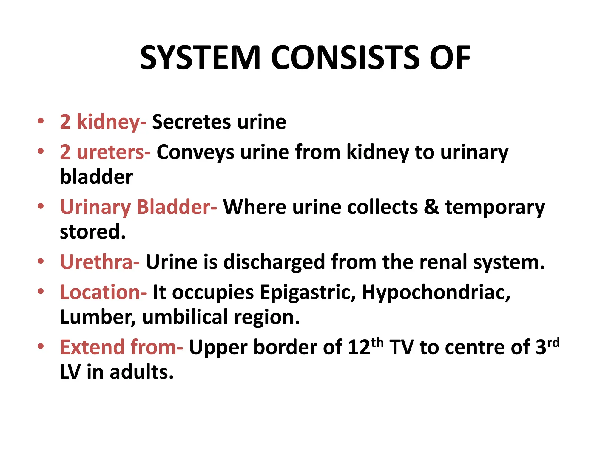 excretory system URINARY SYSTEM GENITOURINARY SYSTEM | PPTX