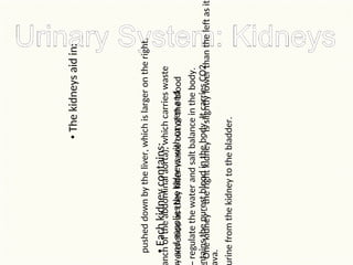Excretory system structure and function of | PPT | Lung and Respiratory ...
