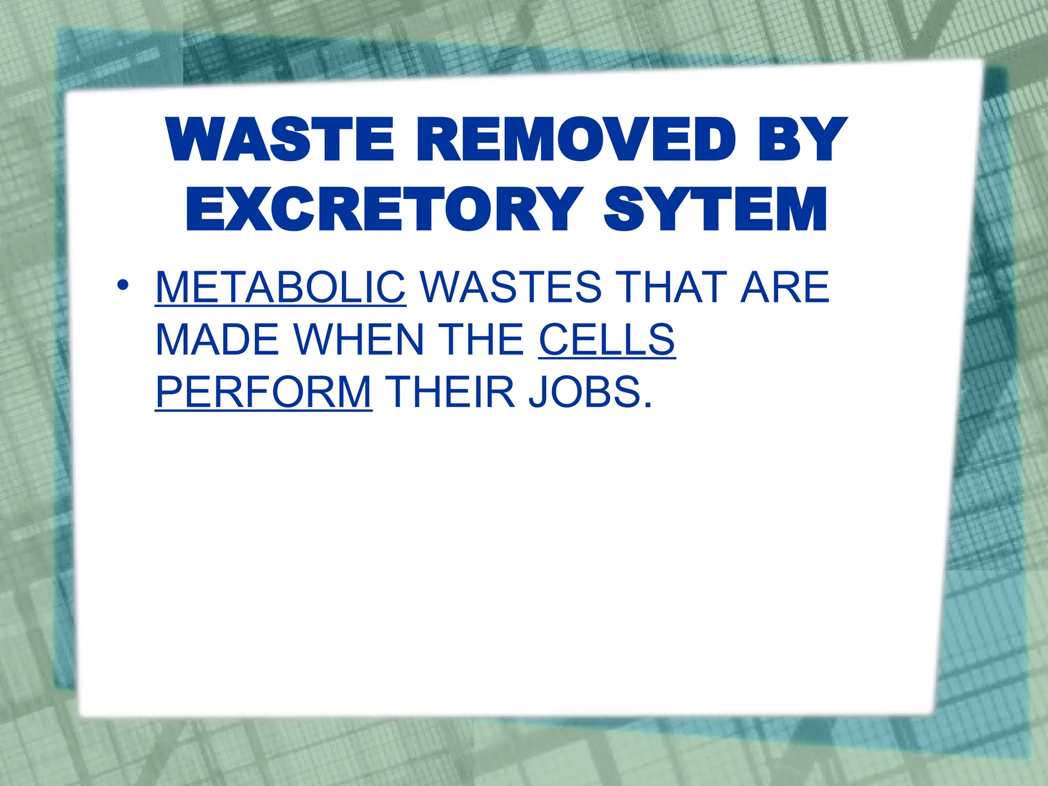 EXCRETORY SYSTEM explained in detail.ppt