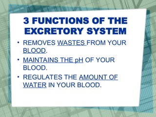 EXCRETORY SYSTEM explained in detail.ppt