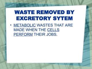 EXCRETORY SYSTEM explained in detail.ppt