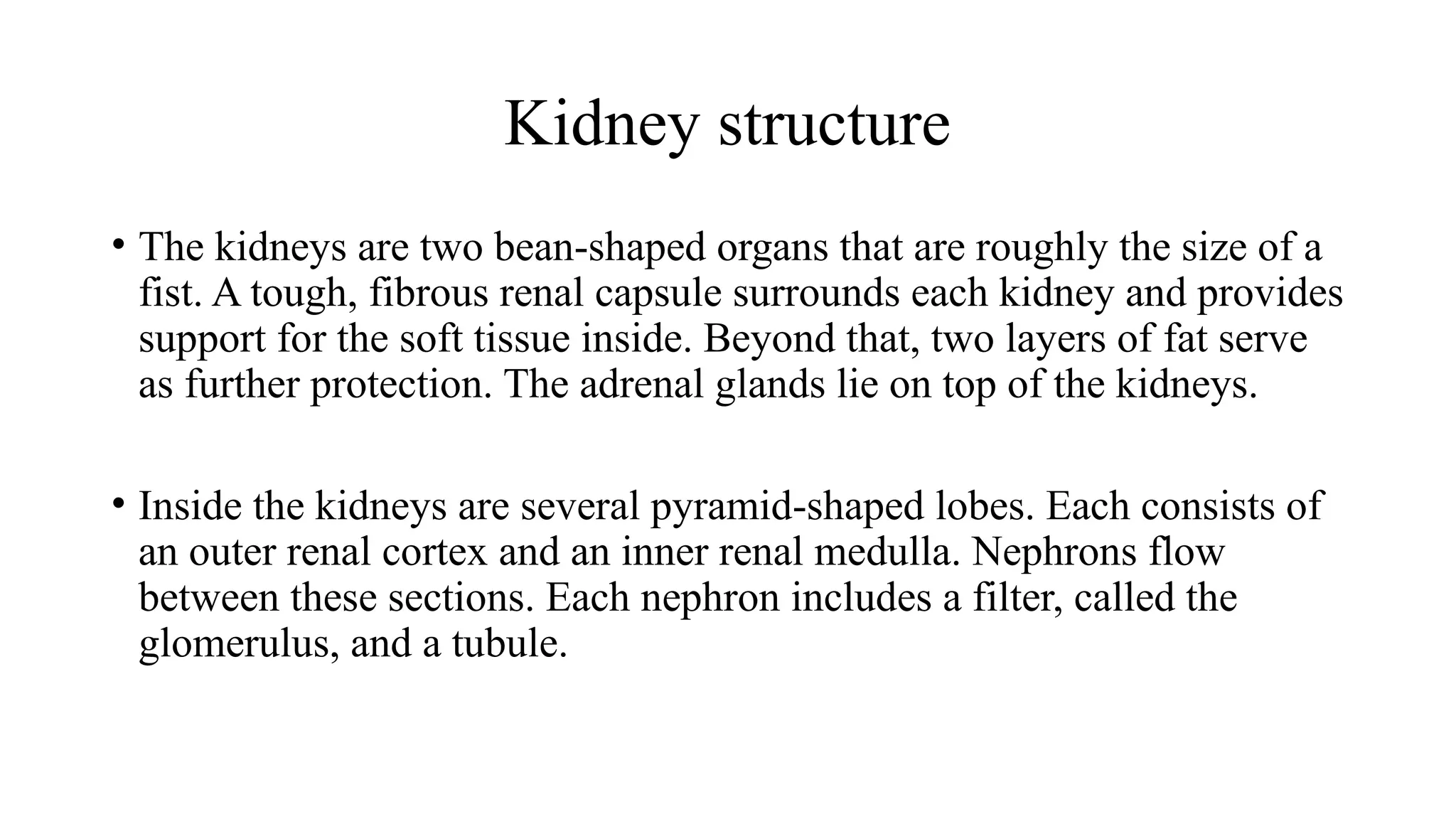 The Excretory System Structure Function And Importance By Chetan 4539