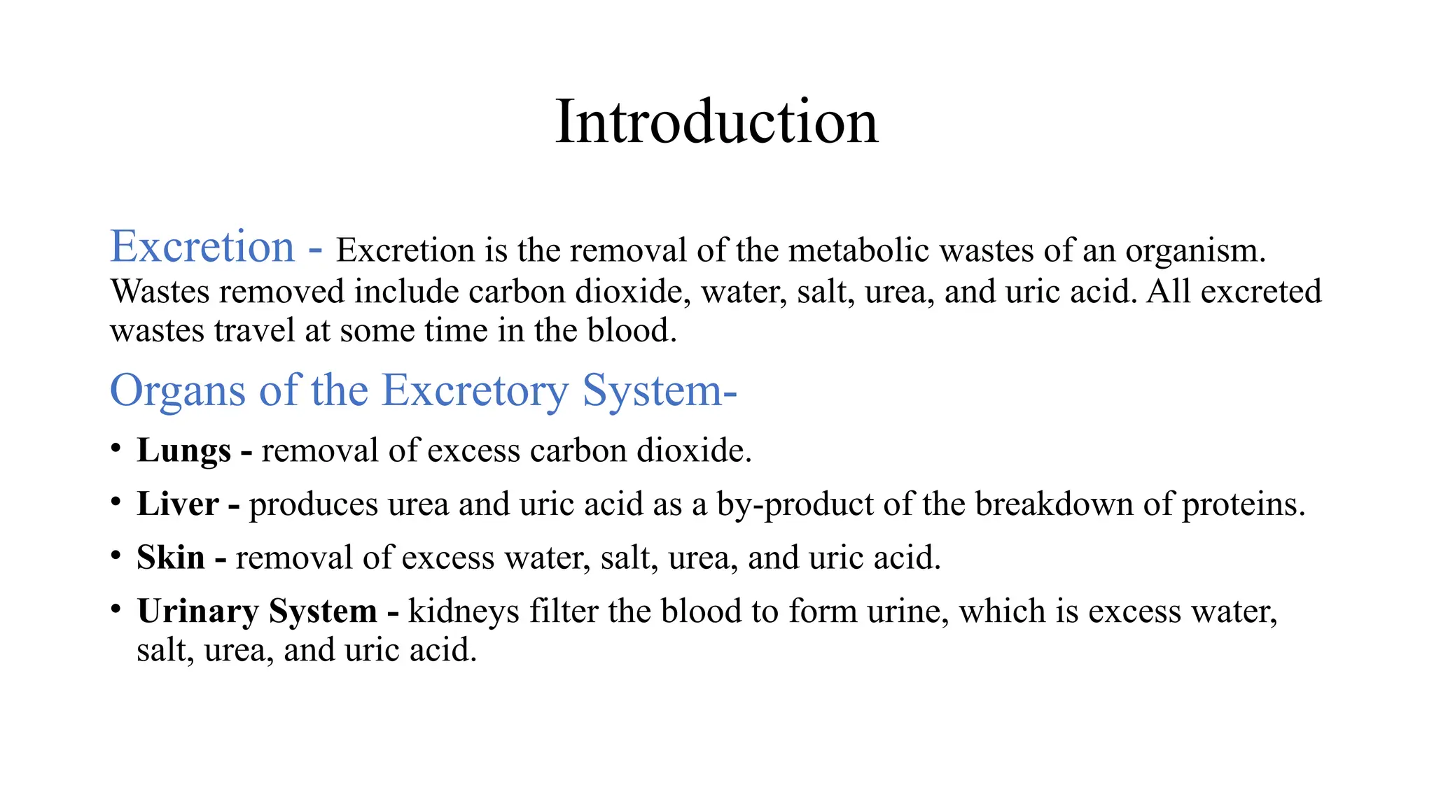 The Excretory System: Structure, Function, and Importance by chetan ...