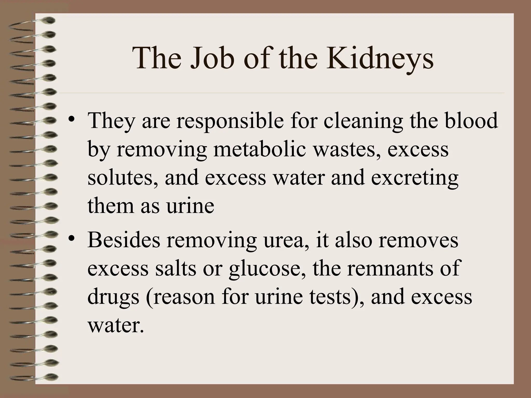 Excretory_System.ppt for middle school science class | PPT
