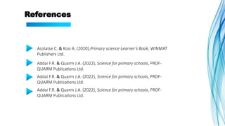 Excretory system for lower grade class.pptx