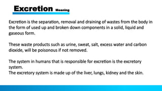 Excretory system for lower grade class.pptx