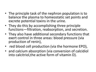 Pathophysiology of Excretory system of human body | PPTX