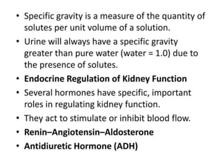 Pathophysiology of Excretory system of human body | PPTX