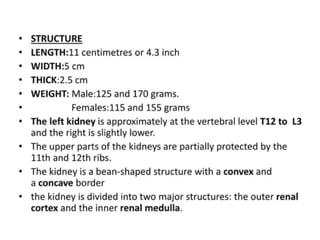 Pathophysiology of Excretory system of human body | PPTX