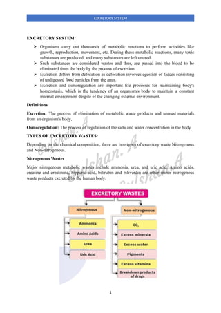 EXCRETORY SYSTEM by Gulshan Athbhaiya.... | DOCX