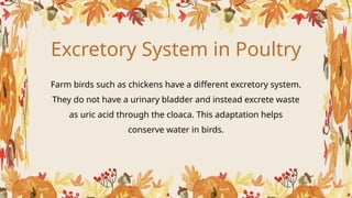 Excretory System of farm animals group-5 | PPTX