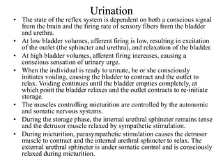 Excretory system-normal physiology and their .pdf