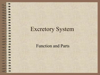 Excretory_System (1).ppt | Endocrine and Metabolic Diseases | Diseases ...