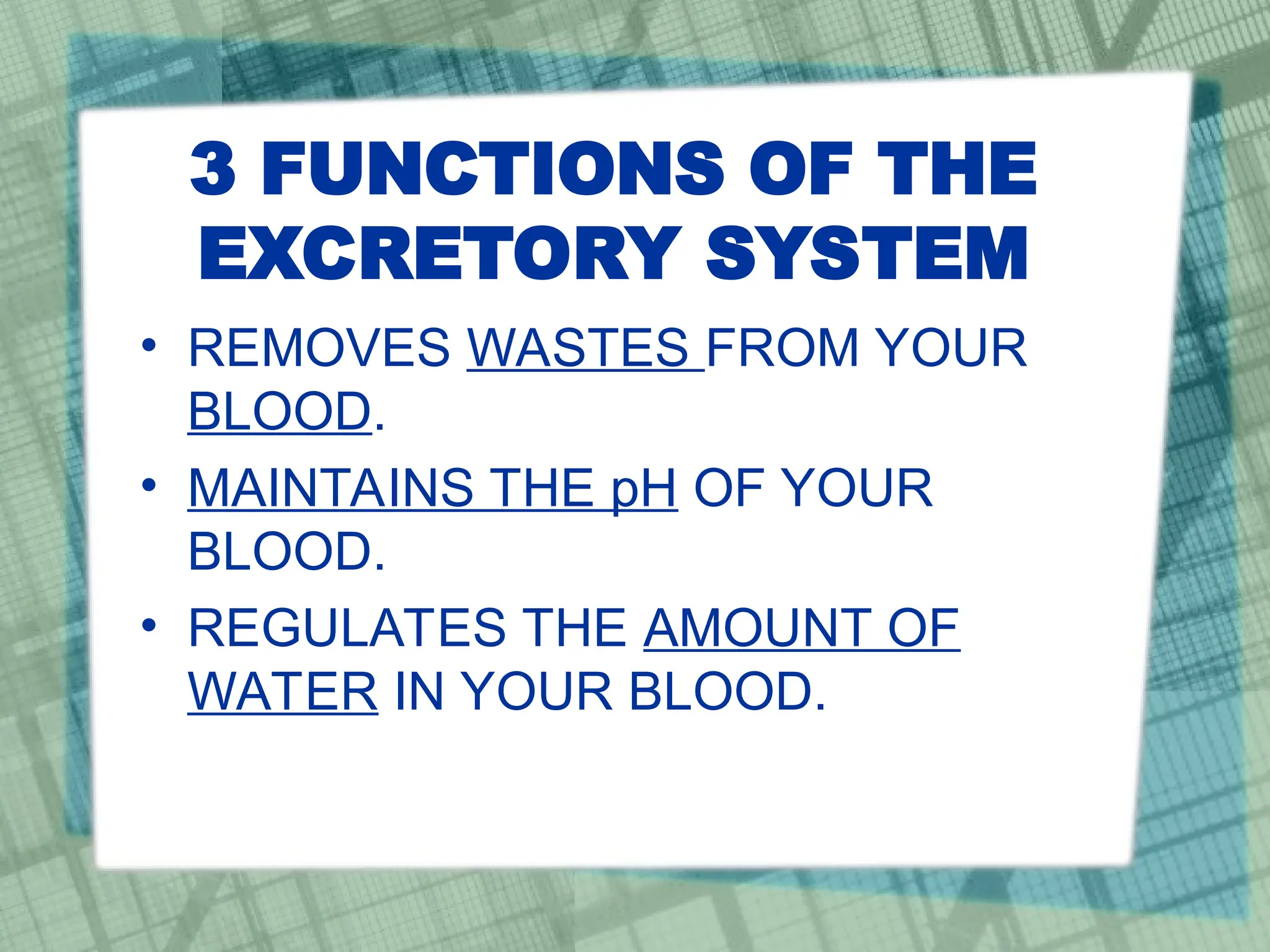 EXCRETORY SYSTEM grade 8 first quart.ppt