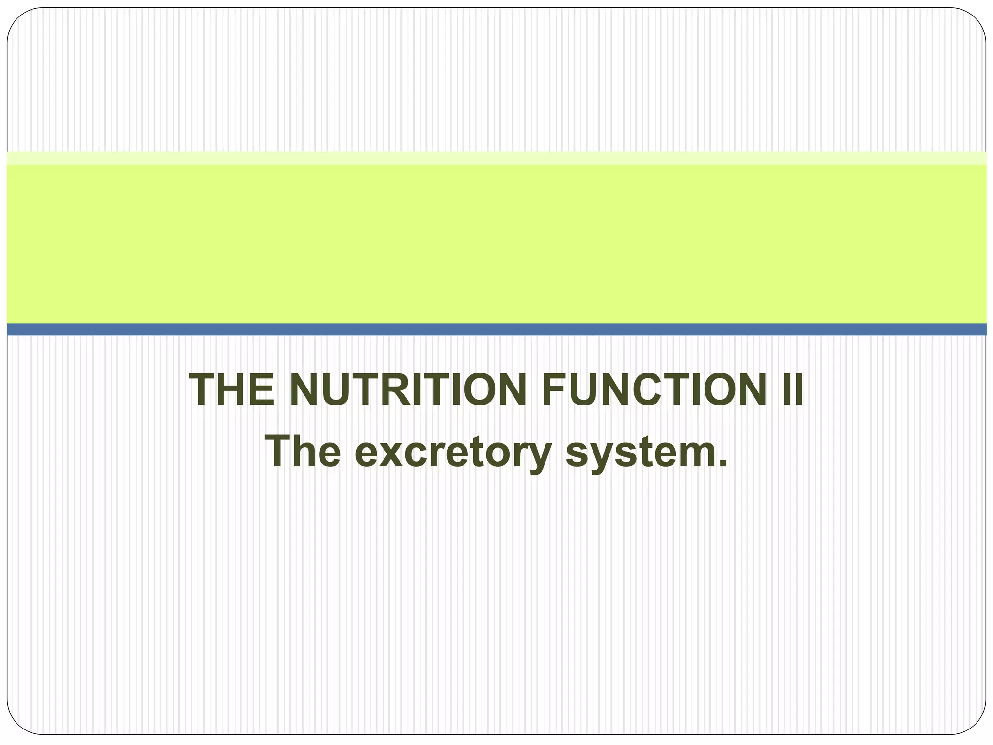 The excretory system. | PPTX