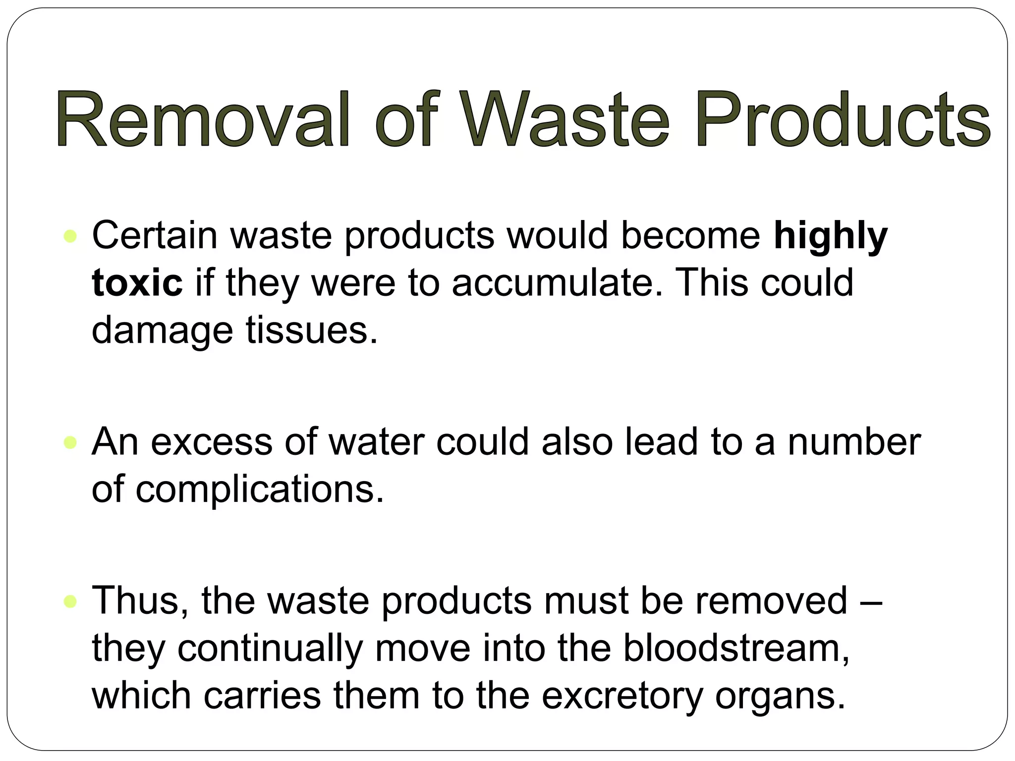 The excretory system. | PPT