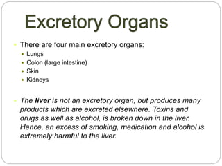 The excretory system. | PPT