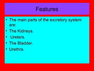 Excretory system | PPT