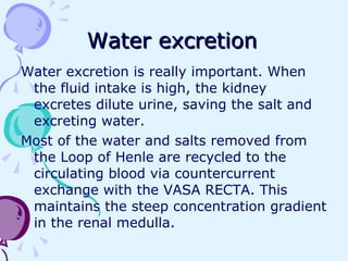 Excretory system 2 | PPT