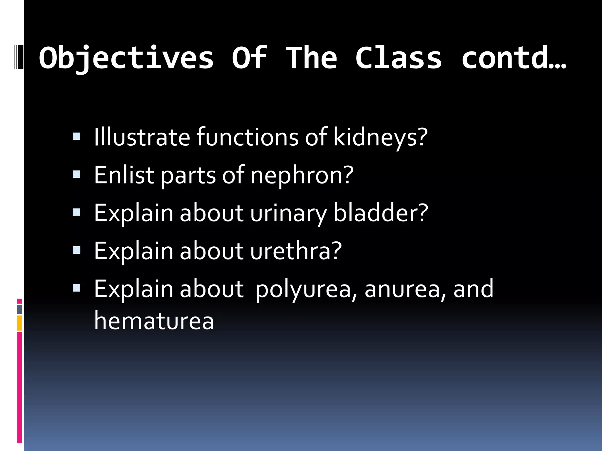 Urinary and Excretory system | PPTX