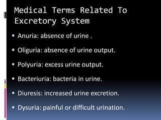 Urinary and Excretory system | PPTX