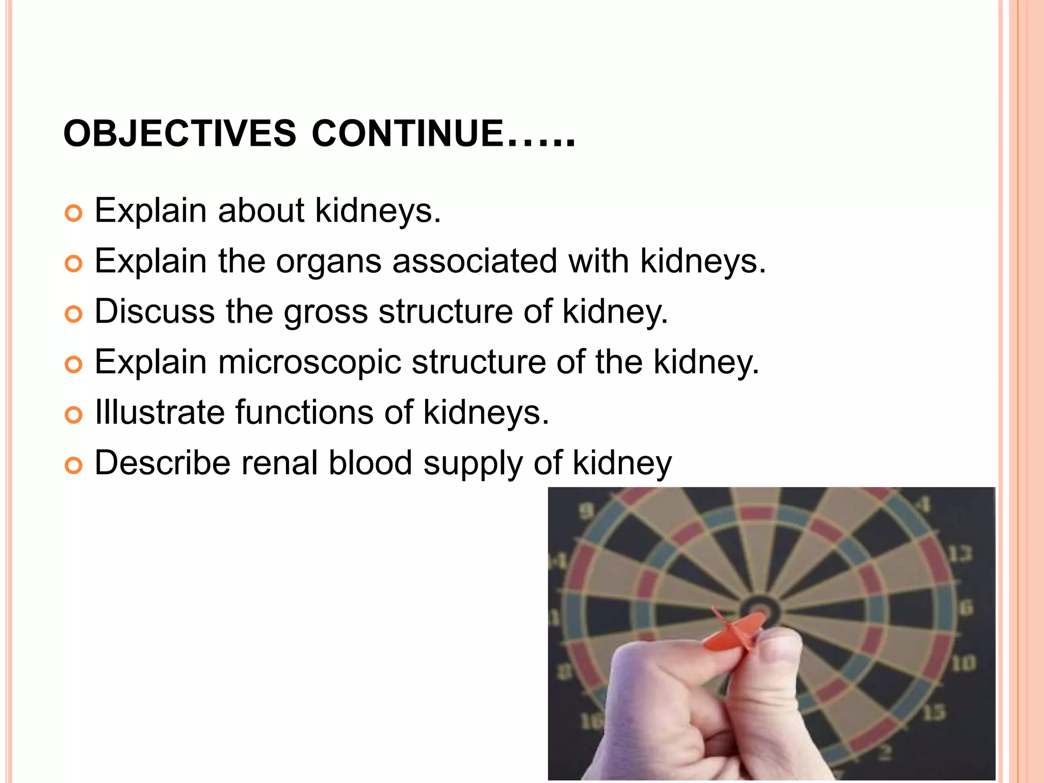 Excretory system 2 | PPTX