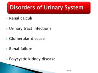 ppt on Excretory system akki | PPTX