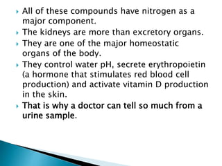 ppt on Excretory system akki | PPTX