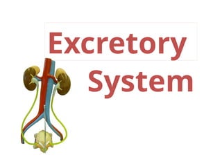 EXCRETORY SYSTEM science materials for primary.pptx