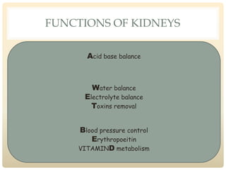 EXCRETORY SYSTEM including renal kindly | PPTX