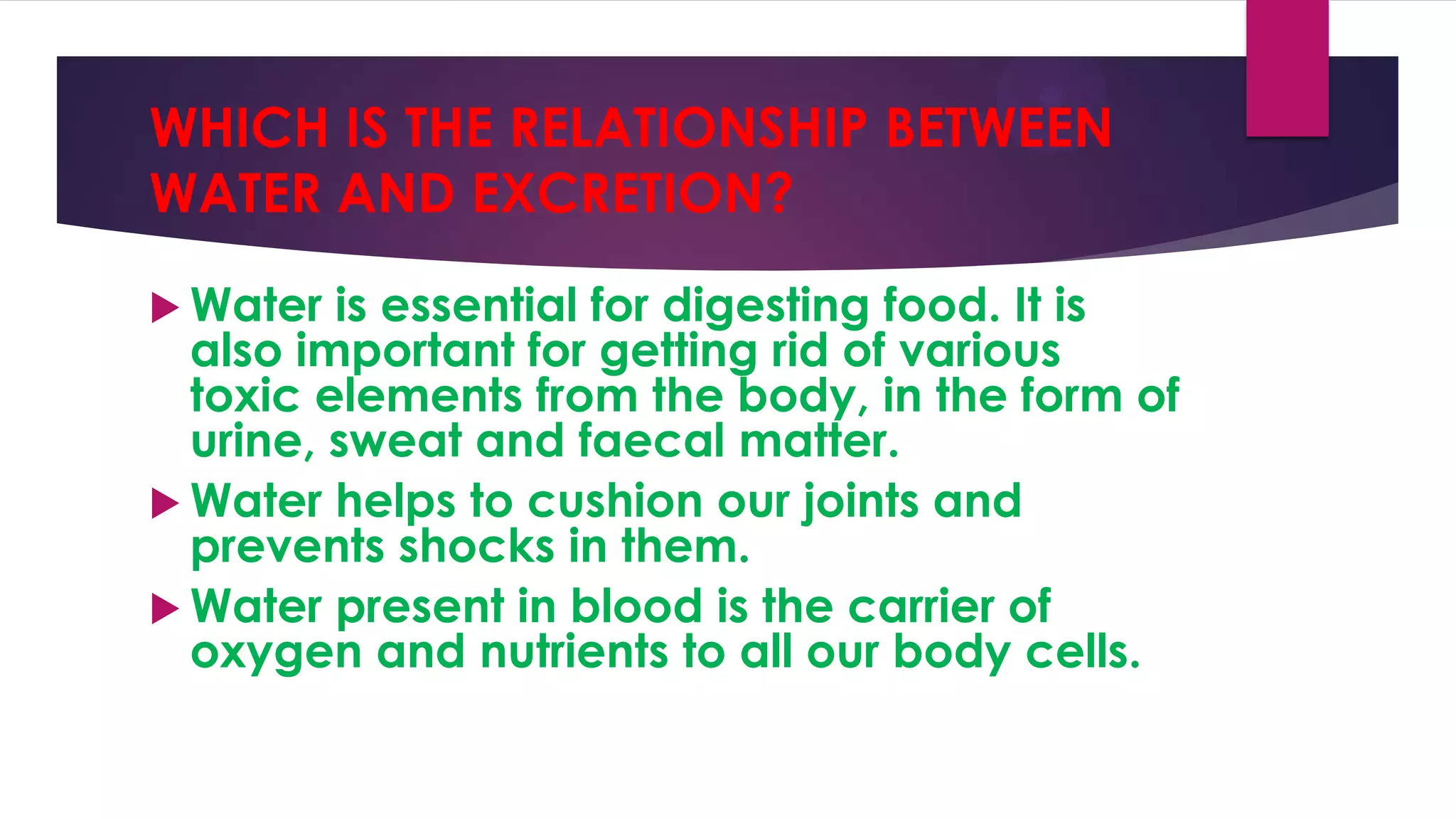 Excretory system grade 10 life sciences | PPTX