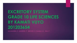 Excretory system grade 10 life sciences | PPTX