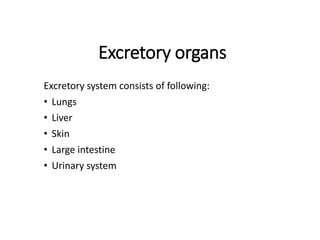 Excretory system and its parts with details | PPTX