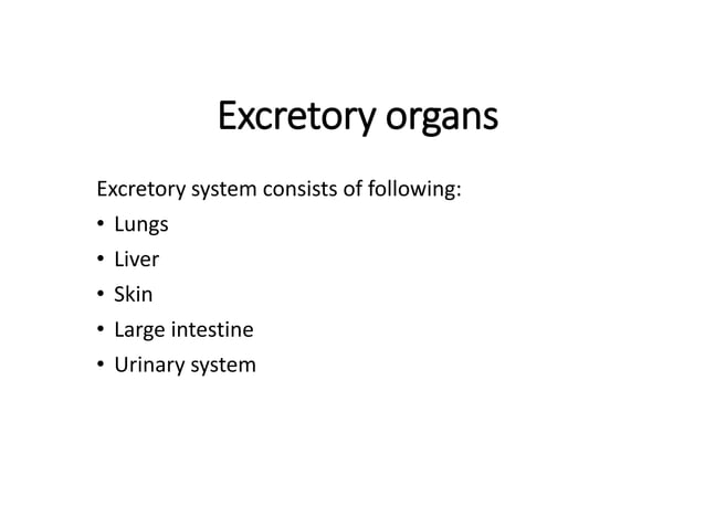 Excretory system and its parts with details | PPT