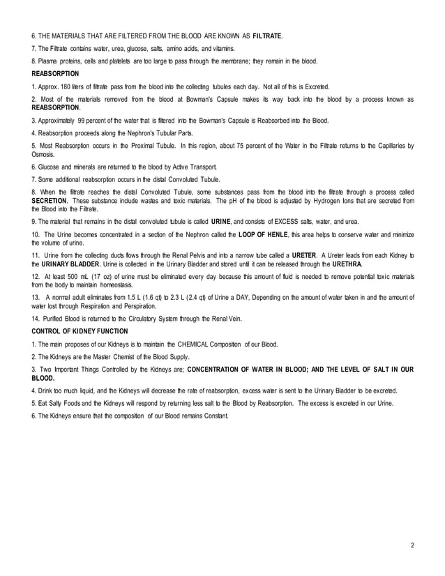 Excretory system handout2 | PDF