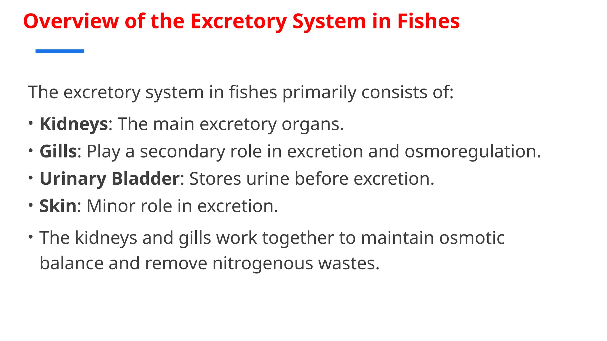 Excretory System in Fishes – Anatomy and Physiology.pptx