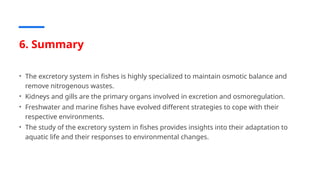 Excretory System in Fishes – Anatomy and Physiology.pptx