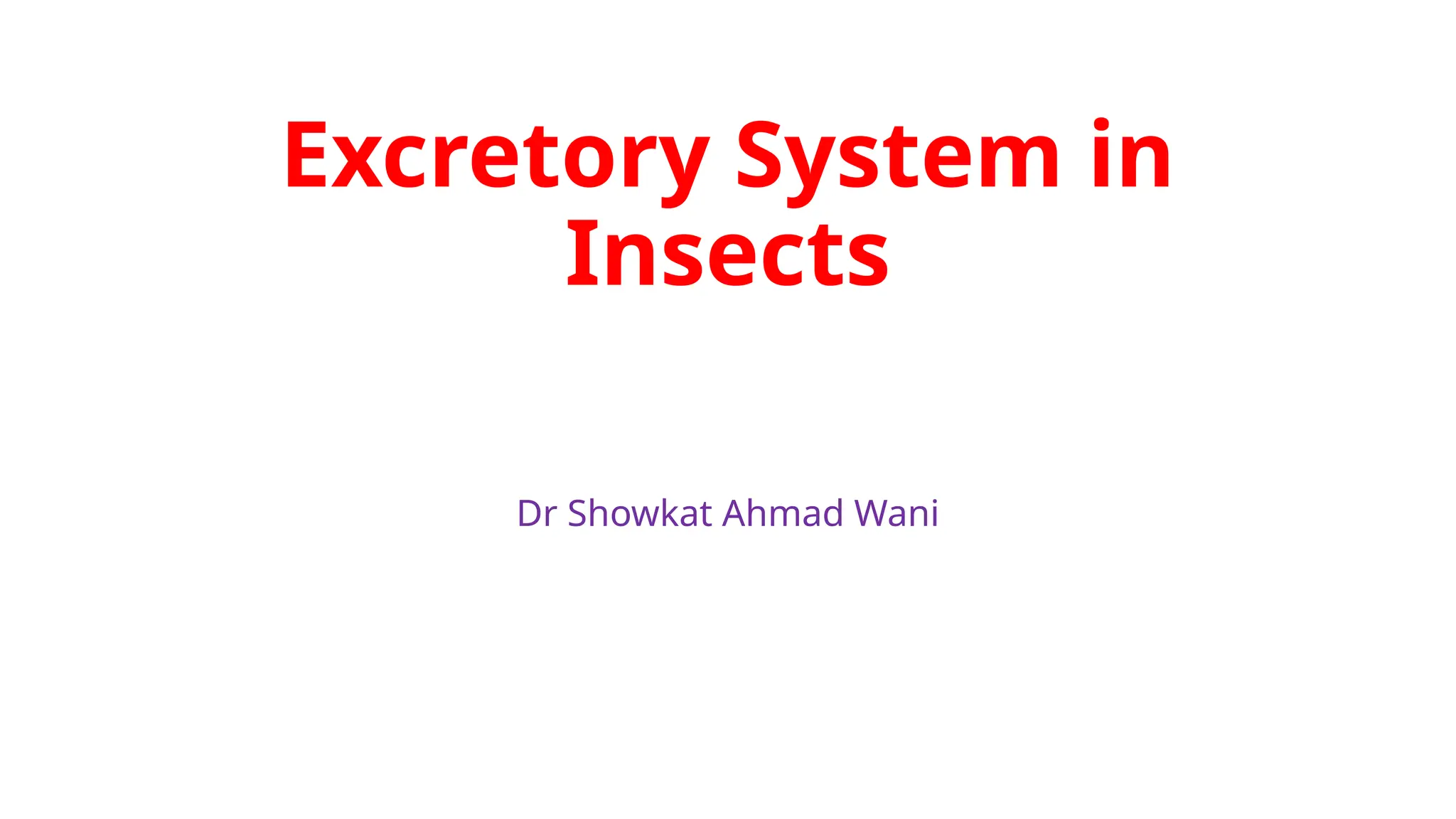 Excretory System in insects ( PPT Presentation) | PPTX