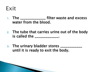 excretorysystem_mod.ppt