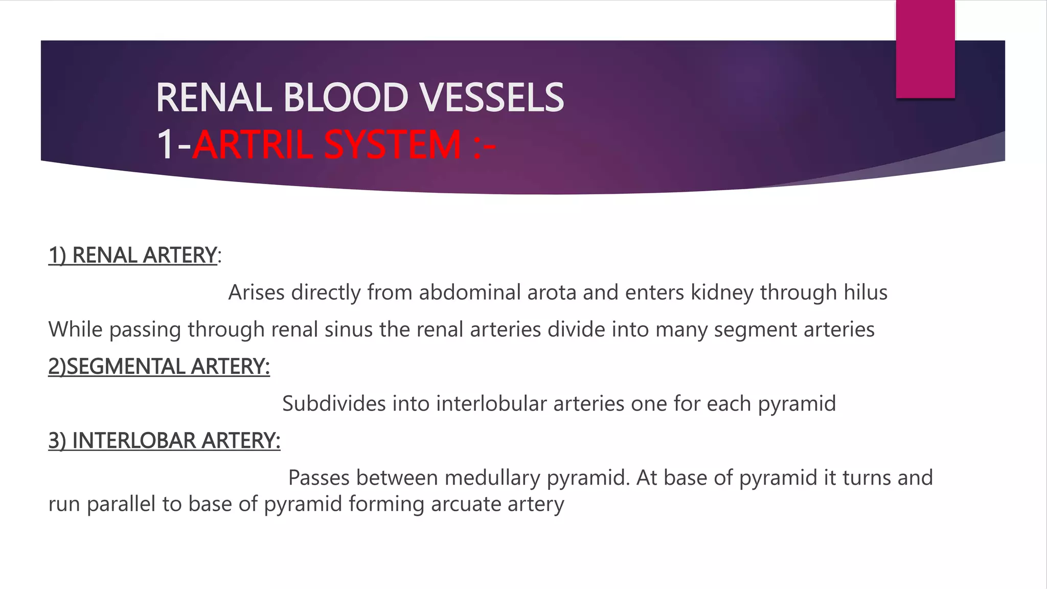 EXCRETORY SYSTEM NEPHRONS.. DR.NITIN KHARSADE | PPTX