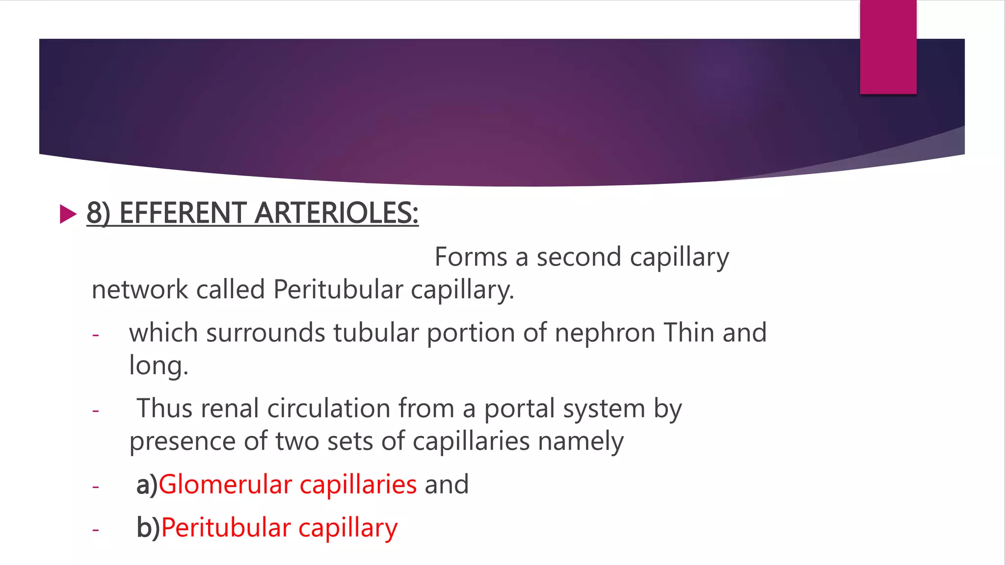 EXCRETORY SYSTEM NEPHRONS.. DR.NITIN KHARSADE | PPTX