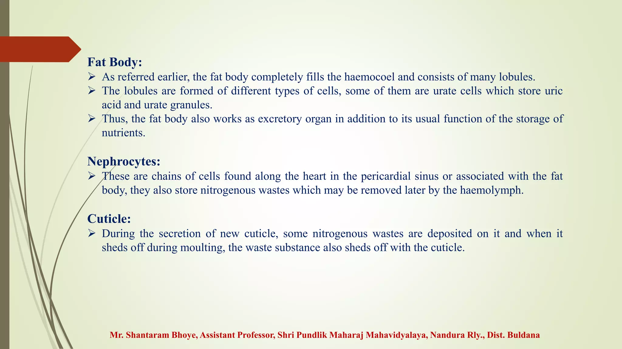 Excretory system of Cockroach.pptx