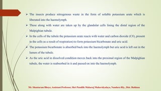 Excretory system of Cockroach.pptx