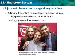 excretory_system_powerpoint.ppt